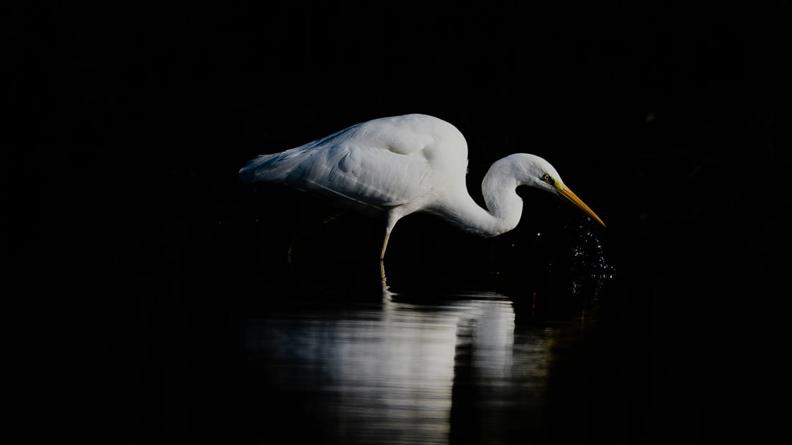 Unsplash Awards 2025