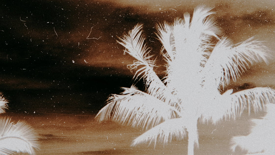 Unsplash Awards 2025