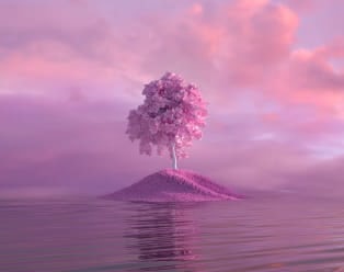 Unsplash Awards 2021