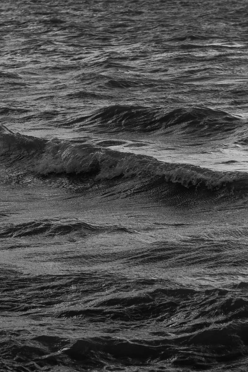 Upgrade to Unsplash+ | Unsplash