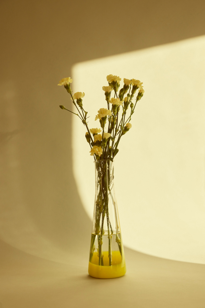 Upgrade to Unsplash+ | Unsplash