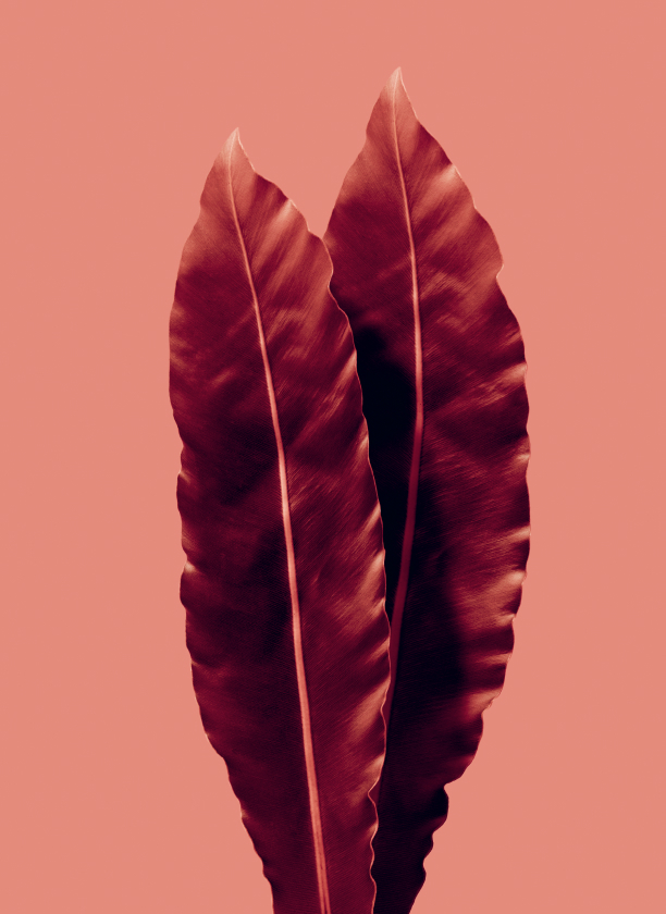 Upgrade to Unsplash+ | Unsplash